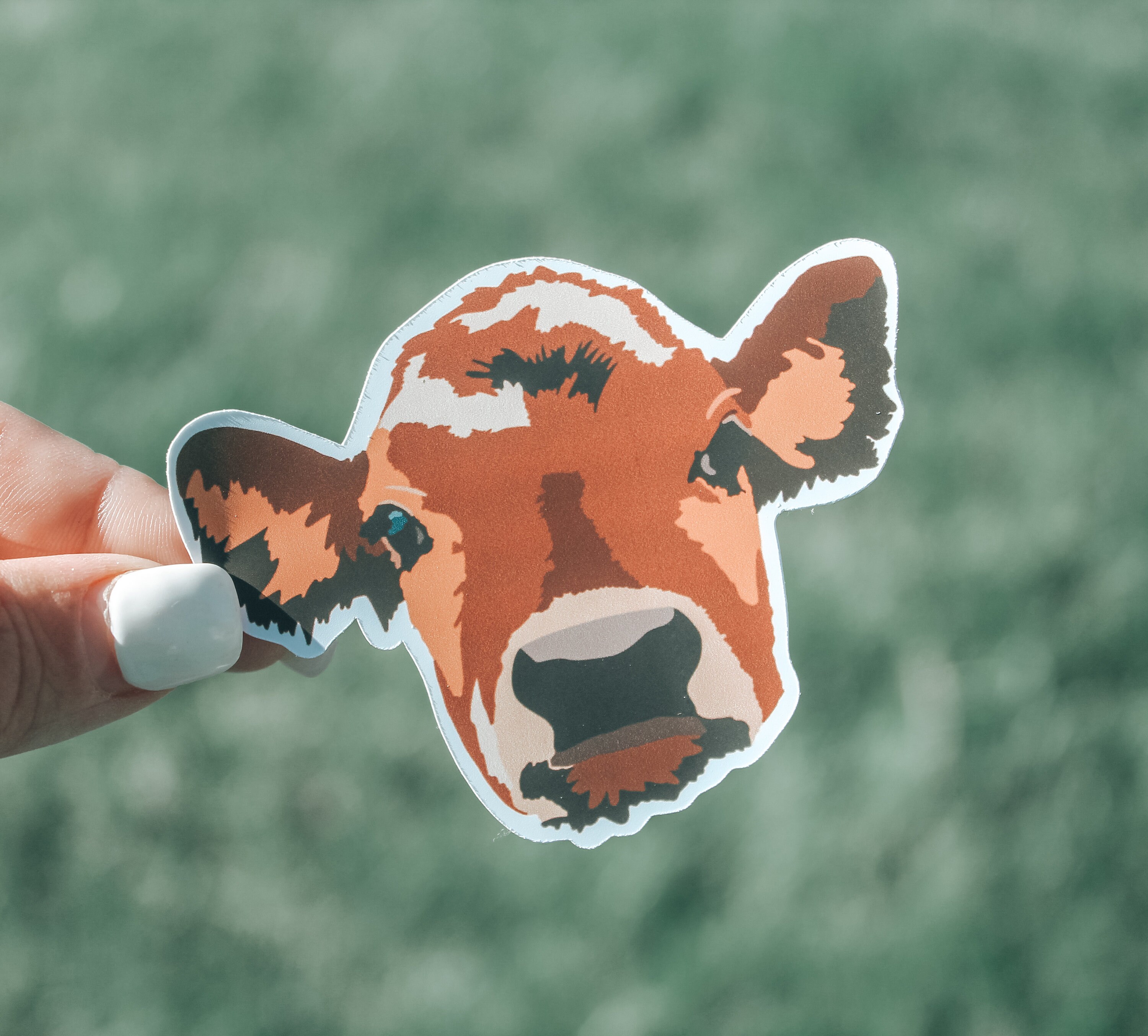 Western Sticker Pack 3 - Etsy