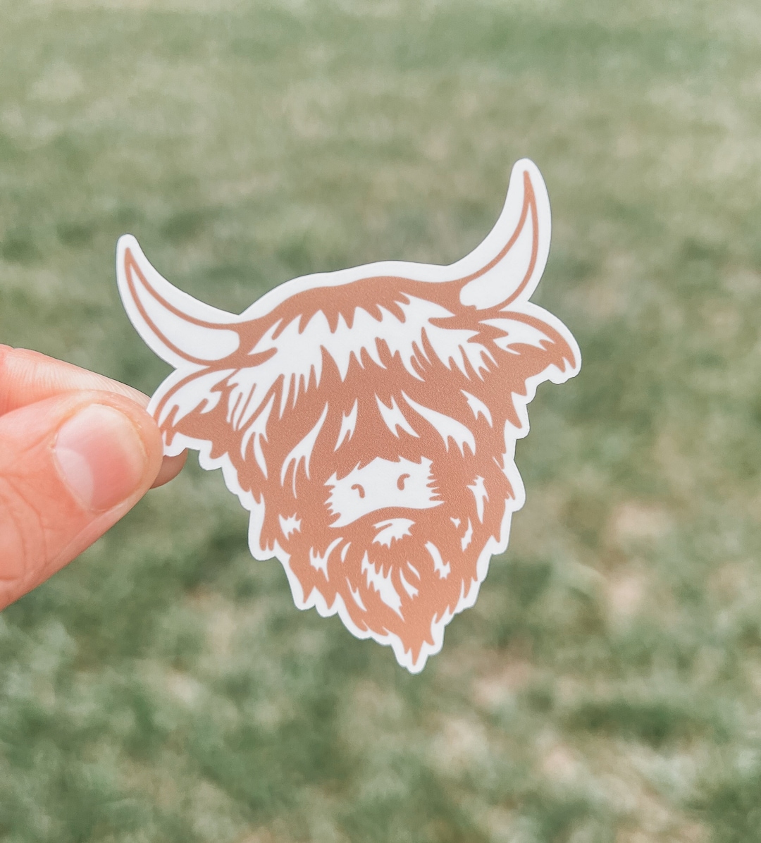 Highland Cow Sticker - Etsy