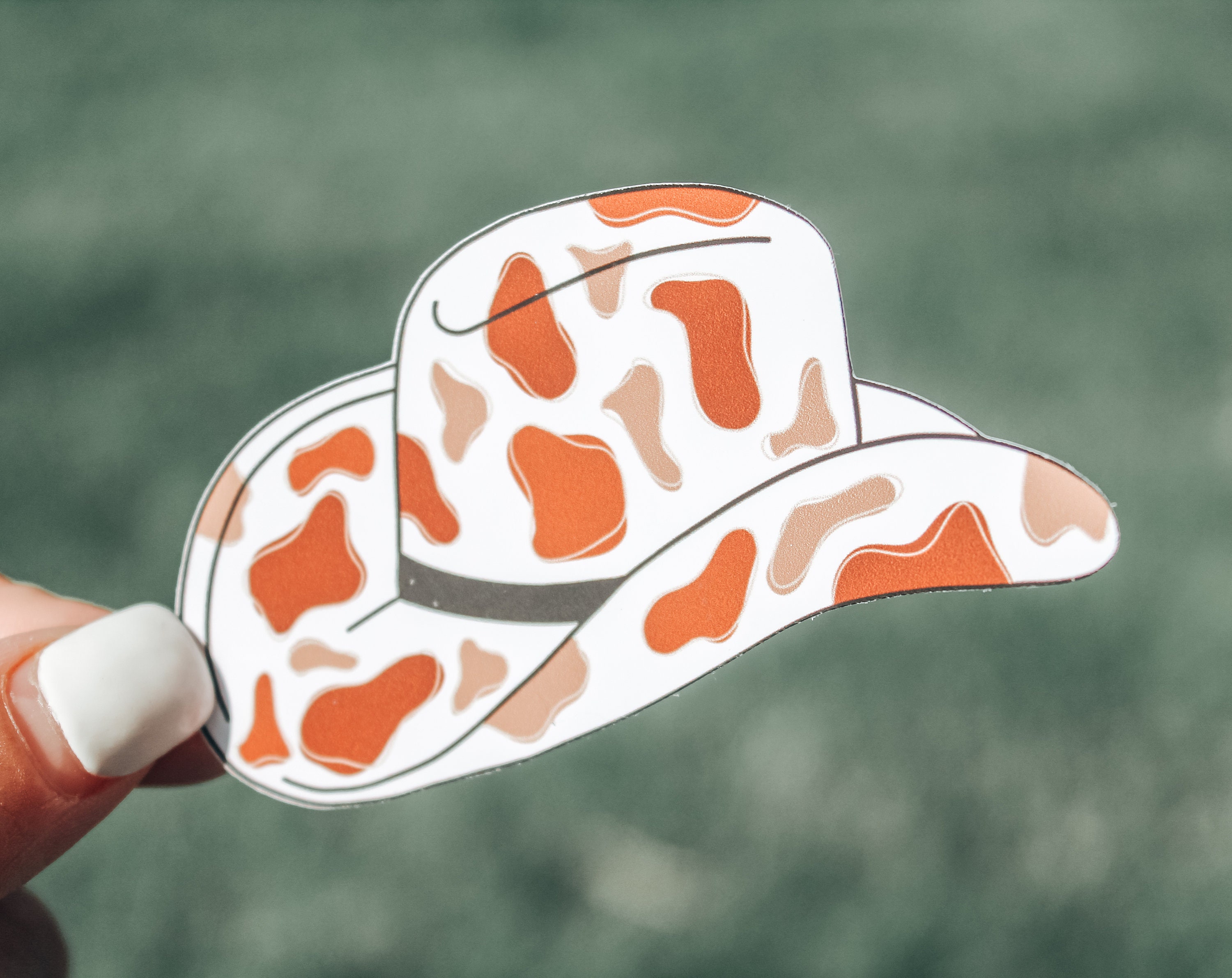 Western Sticker Pack 3 | Etsy