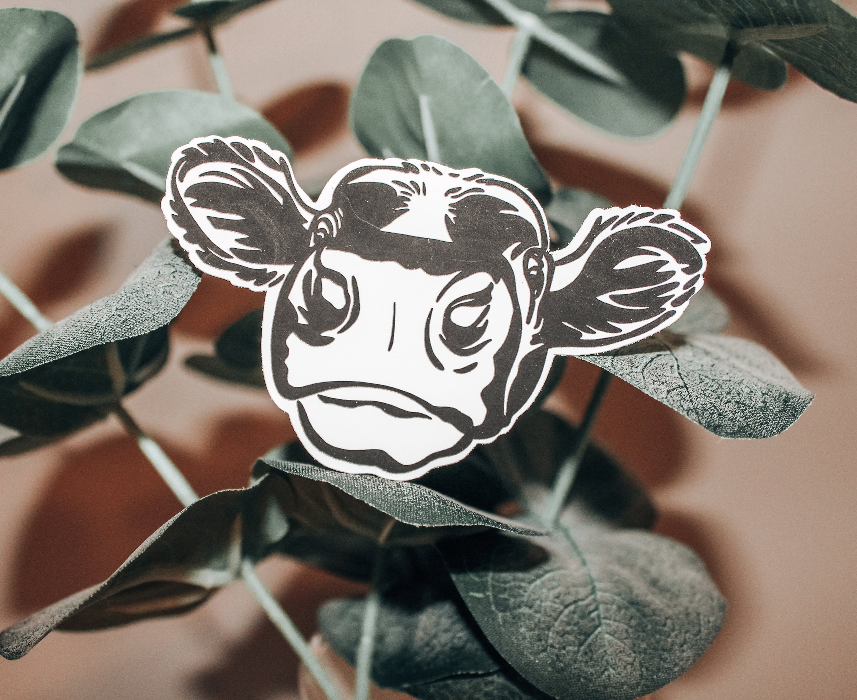 2 Pack Limited Edition Western Stickers - Etsy