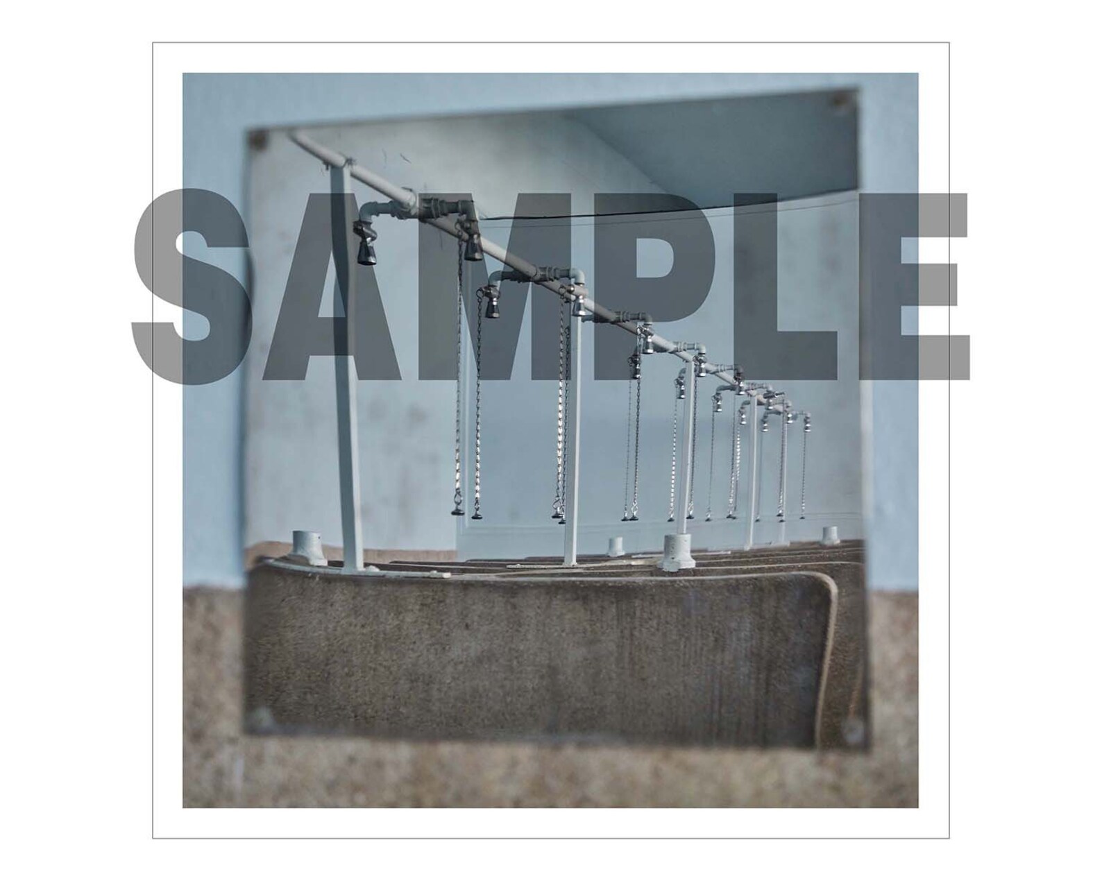 Paris Roubaix "the Showers" Photo Art Print - Etsy