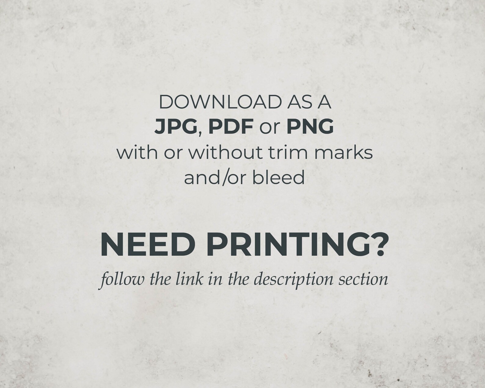 Model Comp Card TEMPLATE DIY Editing Fashion Model Portfolio Eucalyptus ...