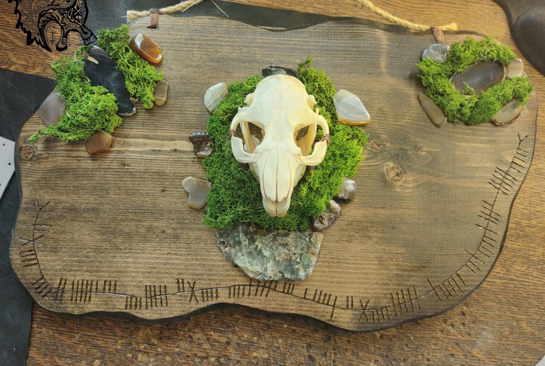 Celtic Ogham Beaver Skull Wall Decor, Irish Gaelic Proverb - Etsy