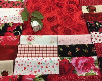 Girl in Love in Paris Pre-cut Quilt Kit | Etsy