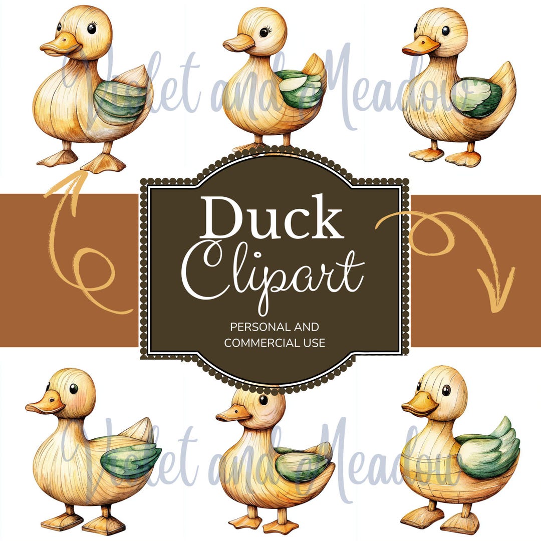 Duck Watercolor Woodland Duck Clipart - Wood Duck Clipart - Digital ...
