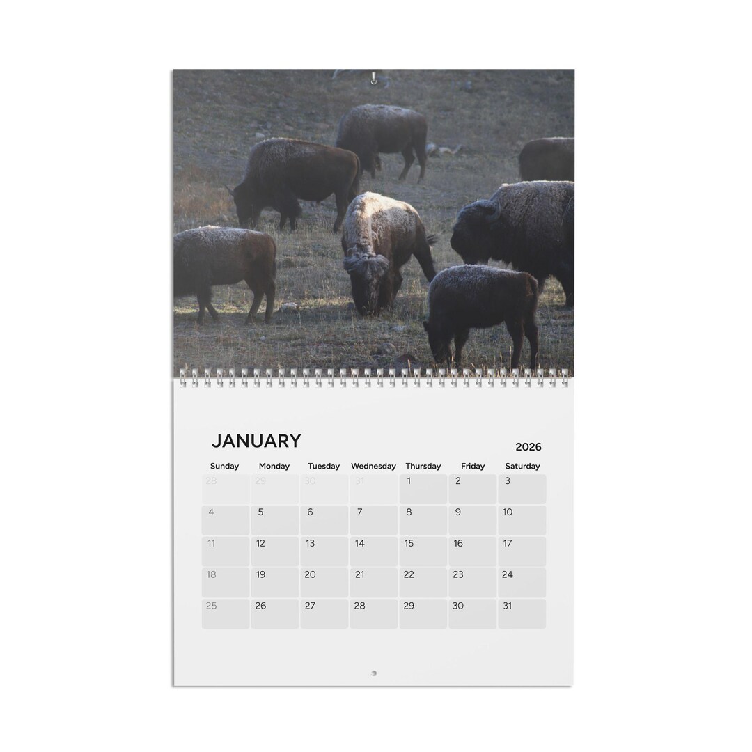 Yellowstone Wildlife Photographs Calendar 2026 | - Etsy
