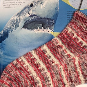 Toe up Knit Sock Pattern//shark Bite Socks//colorwork Knit Sock//adult ...