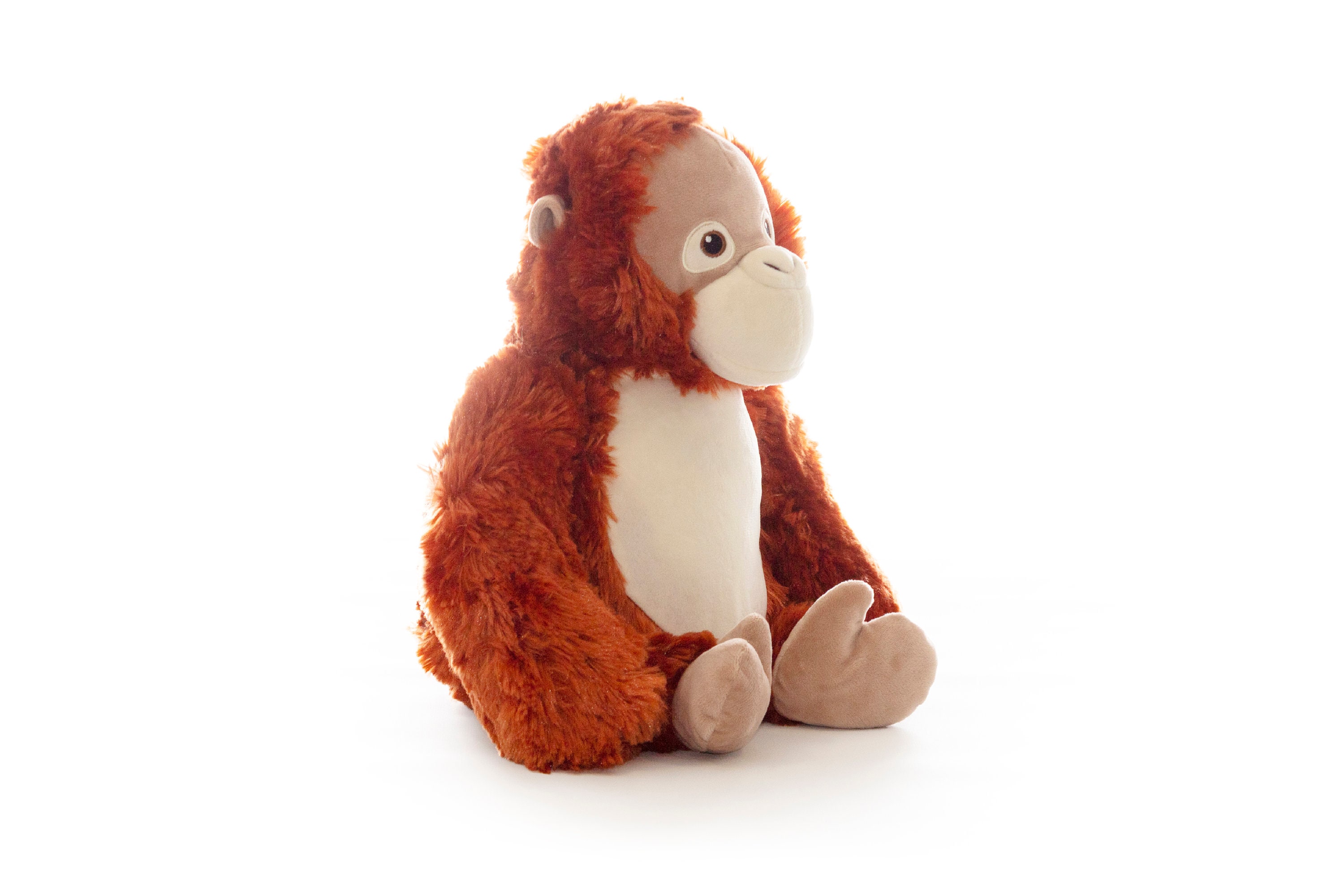 Cubbies Orangutan - Personalized - Etsy