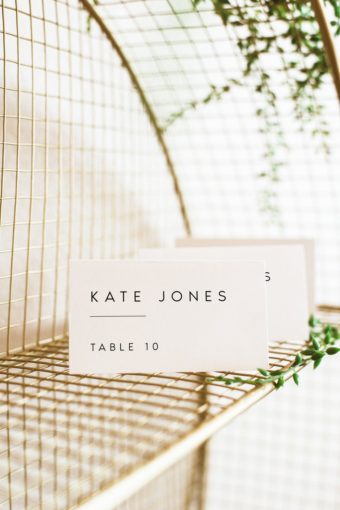 Minimalist Wedding Escort Card Template, Modern Place Card (digital ...