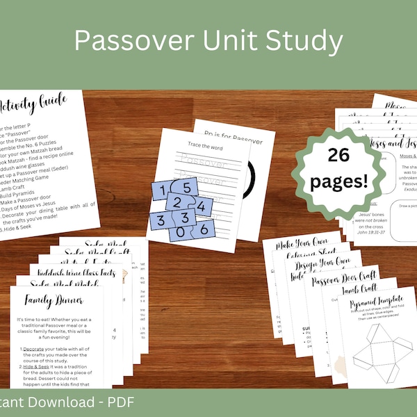 Passover Toys - Etsy