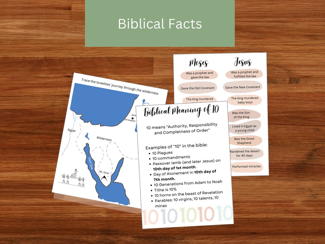 Moses Activity Pack | Moses Unit Study | Bible Activity Pack | Moses ...