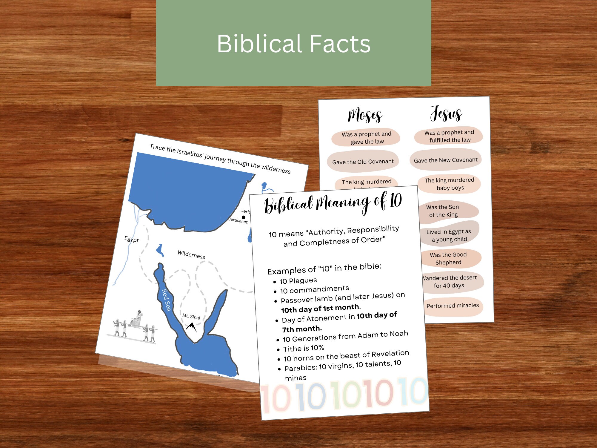 Moses Activity Pack | Moses Unit Study | Bible Activity Pack | Moses ...