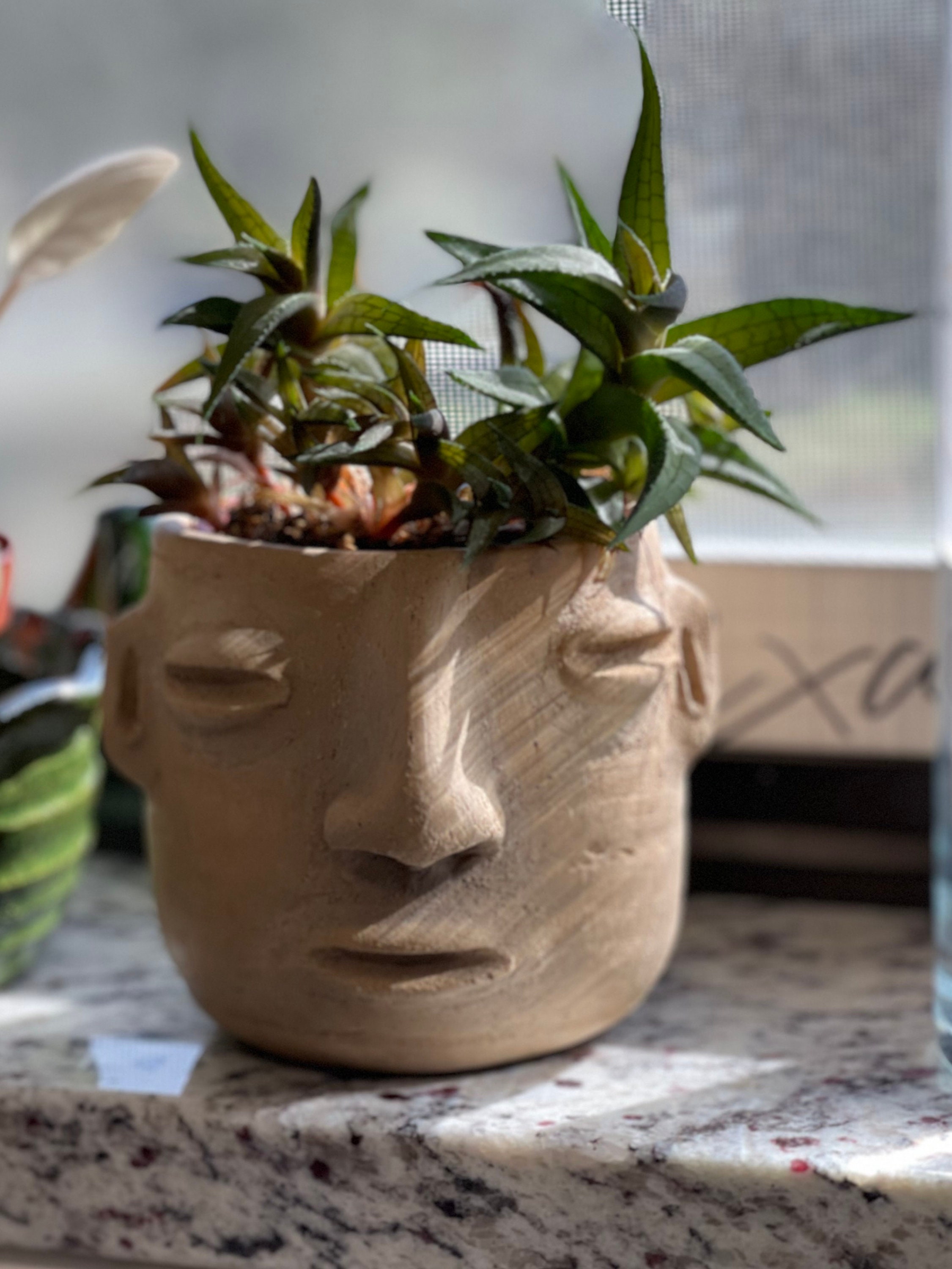 Handmade Clay Skull/face Pots/face With Horns - Etsy