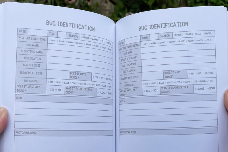 Insect Identification Log Book for Kids, Bug Specimen Notebook ...