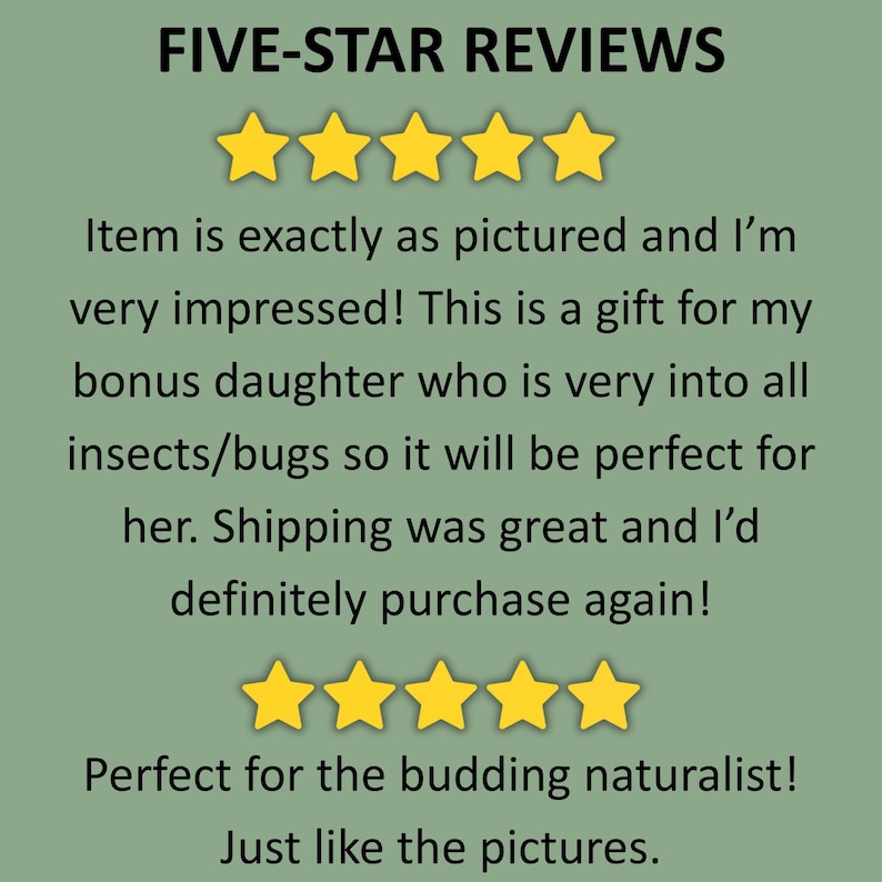Insect Identification Log Book for Kids, Bug Specimen Notebook ...