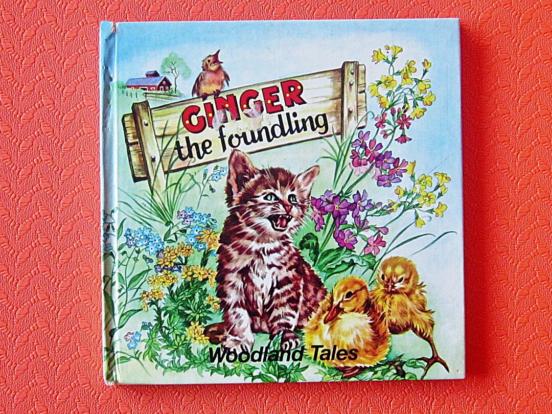 Children's Illustrated Story Book. Ginger the Foundling Woodland Tales ...