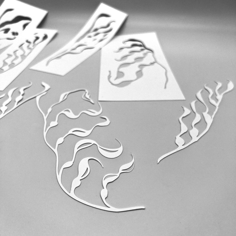 Seaweed Polymer - Etsy UK