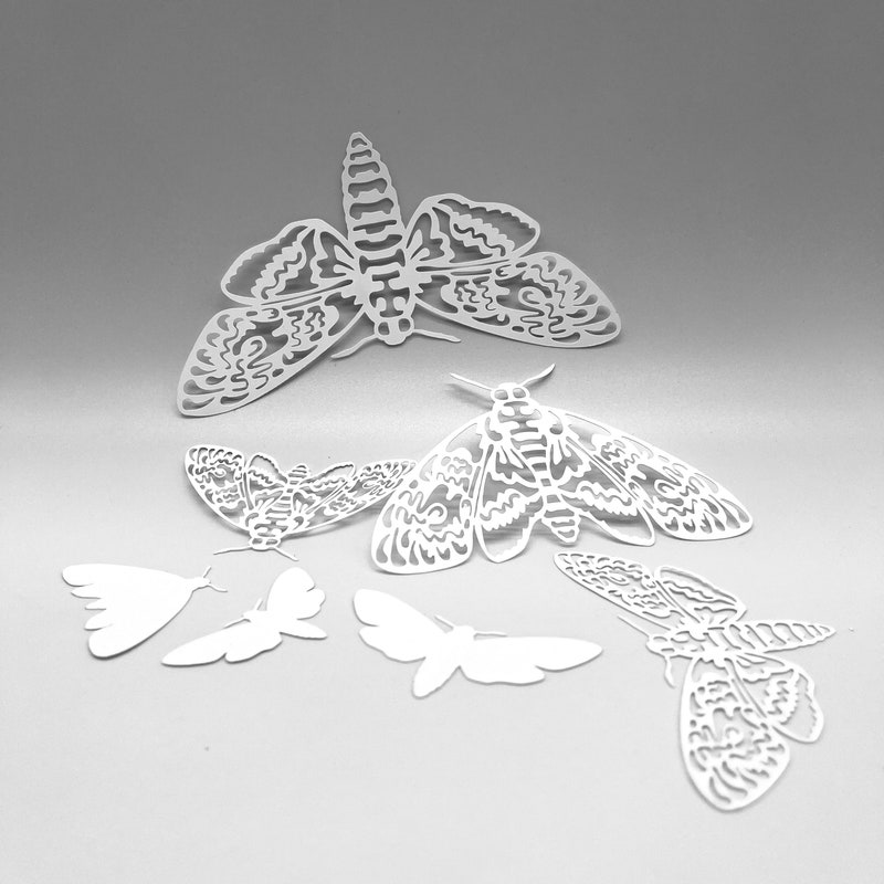 Insect Stencil - Etsy