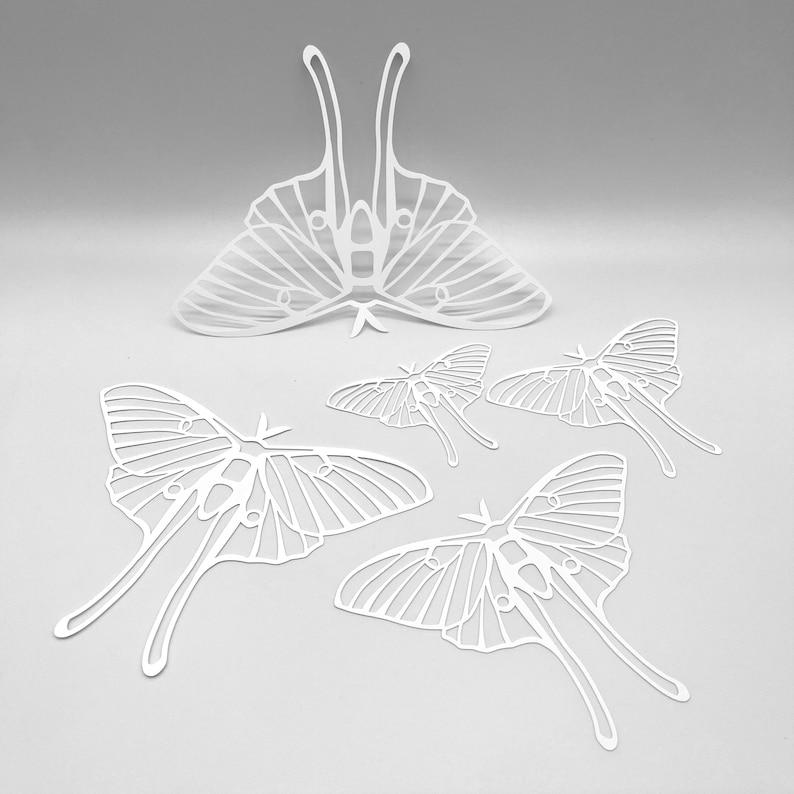 Luna Moth Stencils | Set of 5, Mixed Media Art - Etsy