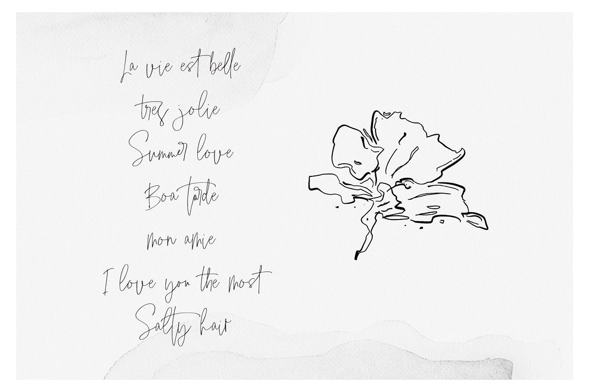 Southern Love Signature Script Font Calligraphy Font - Etsy