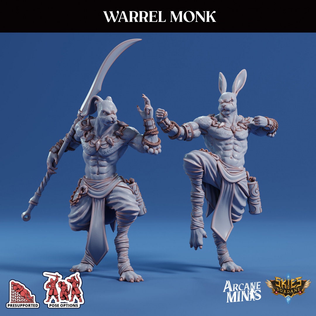 Warrel Monks Arcane Minis Risky Racing Resin Fantasy Dnd RPG Tabletop ...