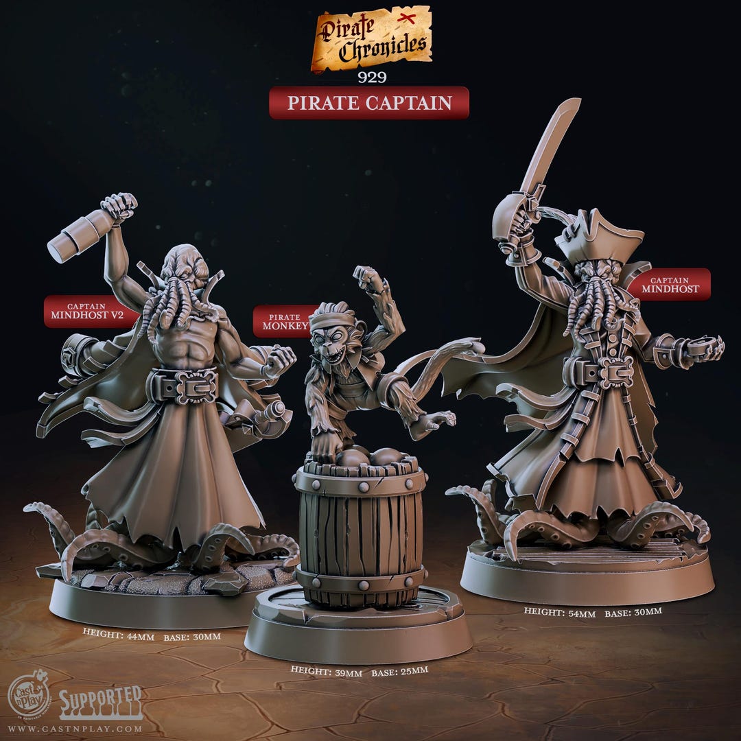 Pirate Captain | Cast N Play | Pirate Chronicles | Npcs | RESIN ...