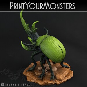 Giant Beetles Print Your Monster Insect Pack Resin Fantasy Dnd RPG ...