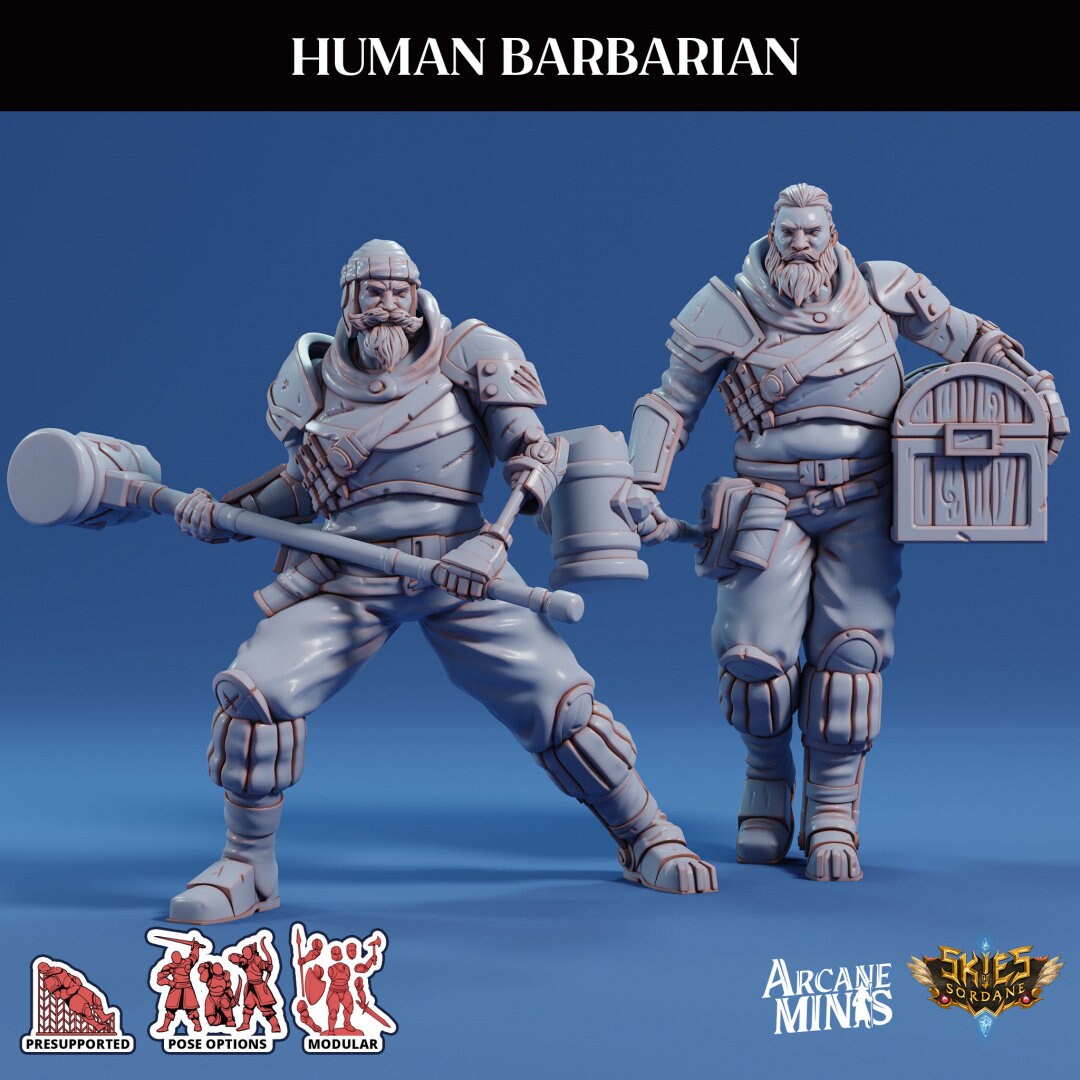 Male Human Barbarian Arcane Minis Swindler's Luck II Resin Fantasy Dnd ...