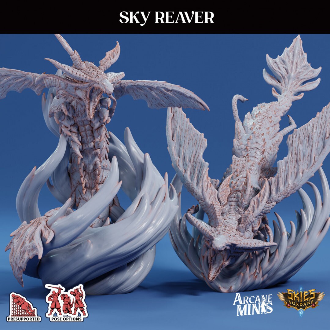 Sky Reaver Arcane Minis Risky Racing Resin Fantasy Dnd RPG Tabletop ...
