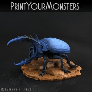 Giant Beetles Print Your Monster Insect Pack Resin Fantasy Dnd RPG ...