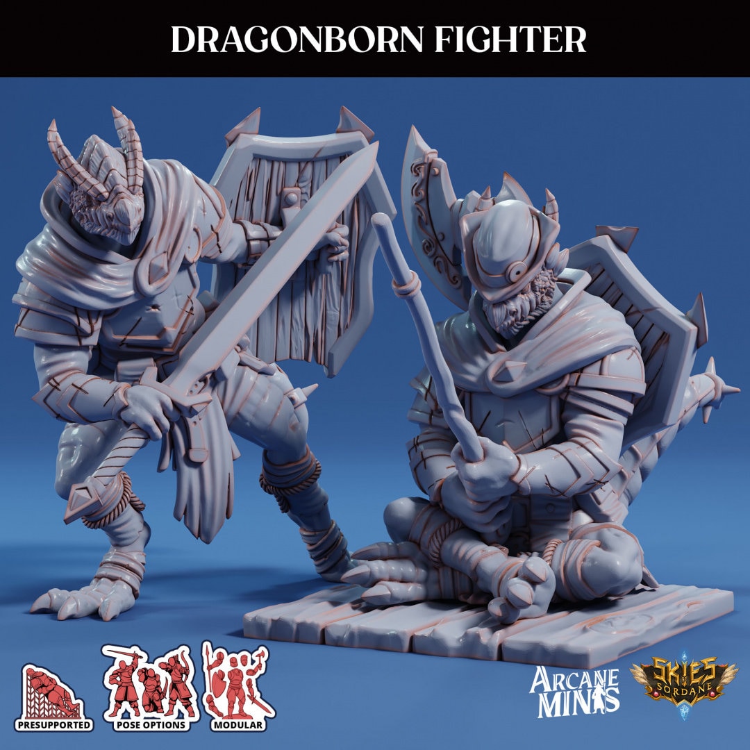 Dragonborn Fighter and Fisherman Swindler's Luck II Risky Racing Resin Fantasy Dnd RPG Tabletop ...