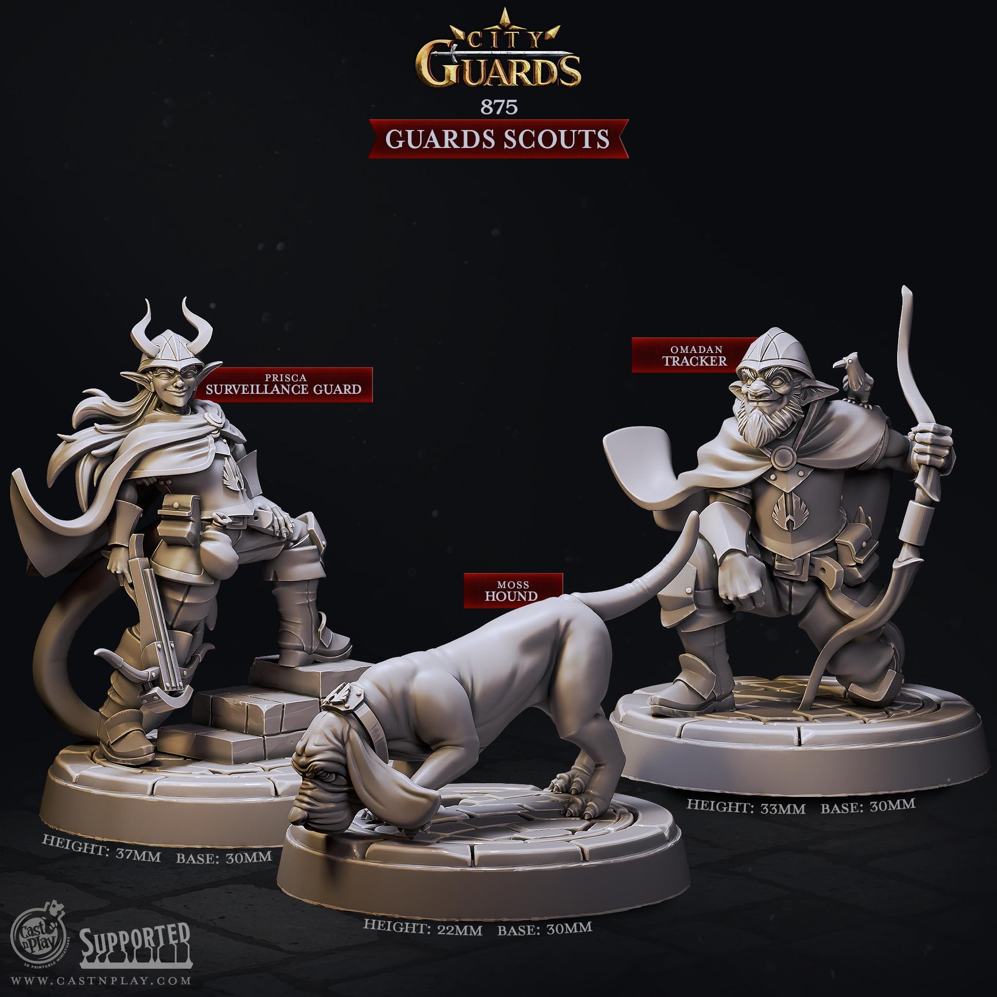 Guards Scouts | Cast N Play | City Guards | Npcs | RESIN | Fantasy ...