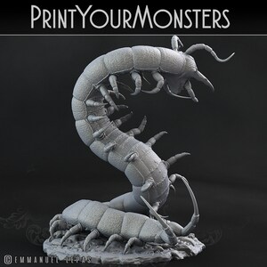 Giant Centipede Print Your Monster Insect Pack Resin Fantasy Dnd RPG ...