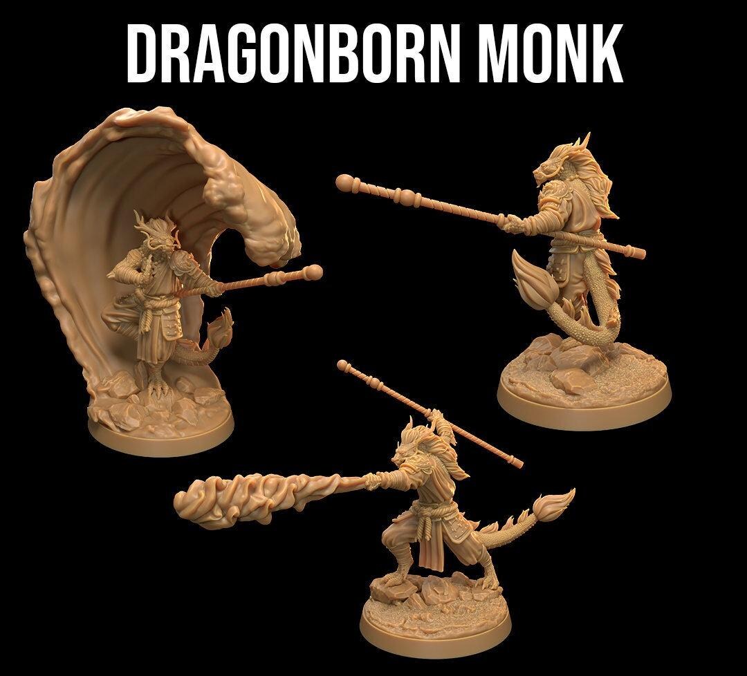 Dragonborn Monk | Dragon Trappers Lodge | Master of the Elements ...