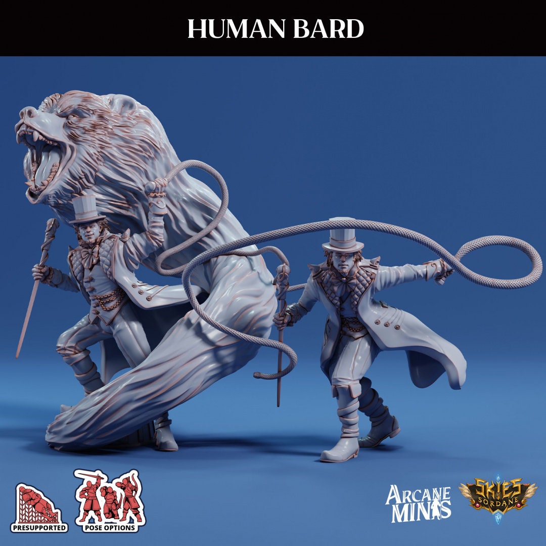 Human Male Bards Swindler's Luck II Risky Racing Resin Fantasy Dnd RPG ...