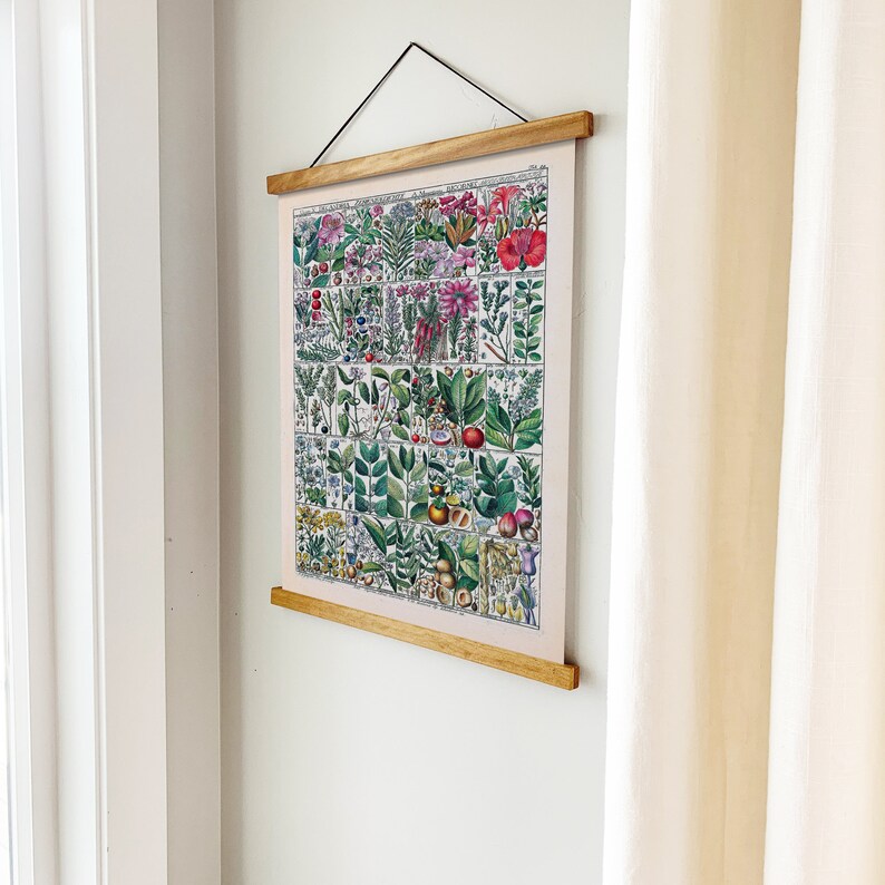 Flower Vintage Chart Poster Botanical Print Retro Botanical | Etsy