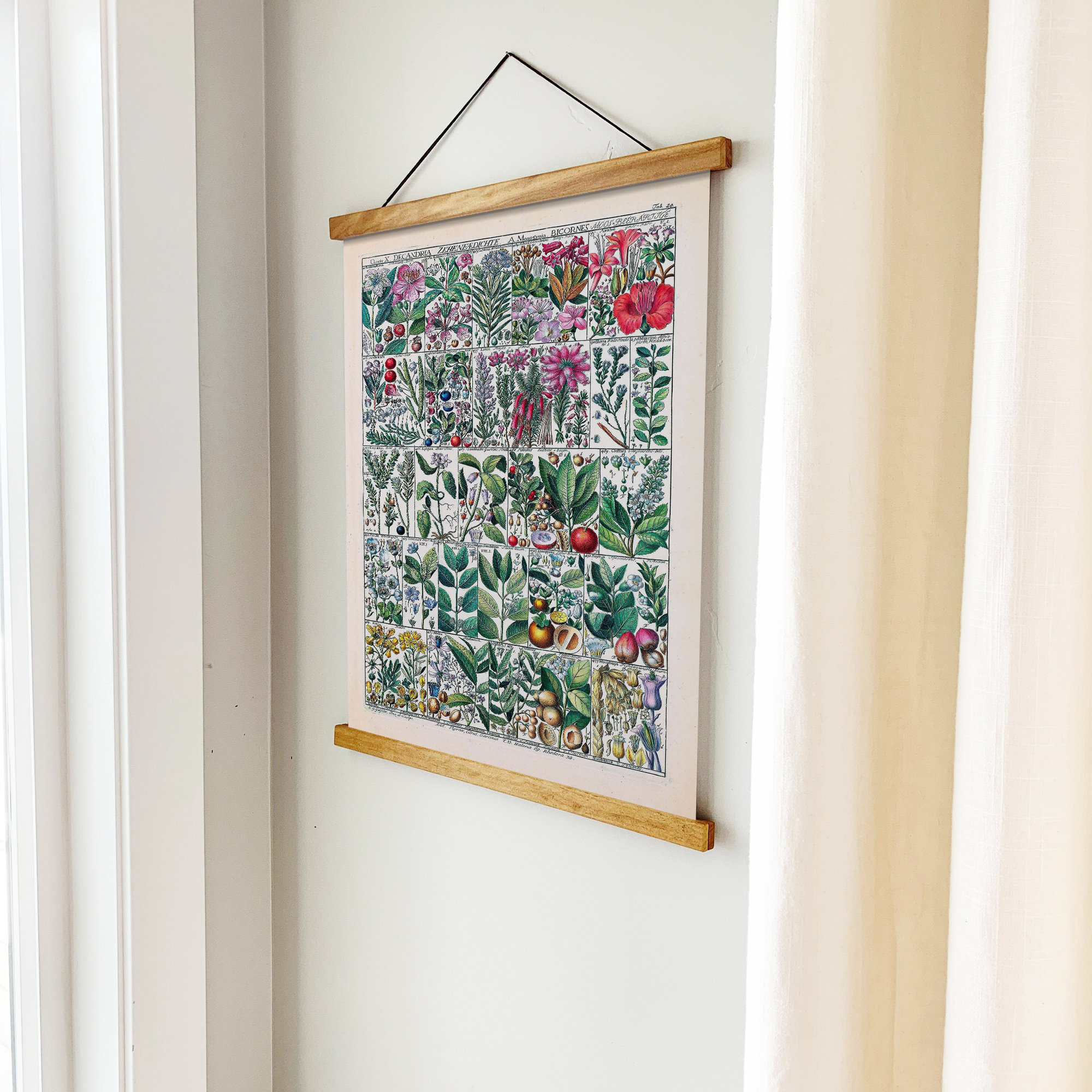 Flower Vintage Chart Poster Botanical Print Retro Botanical | Etsy