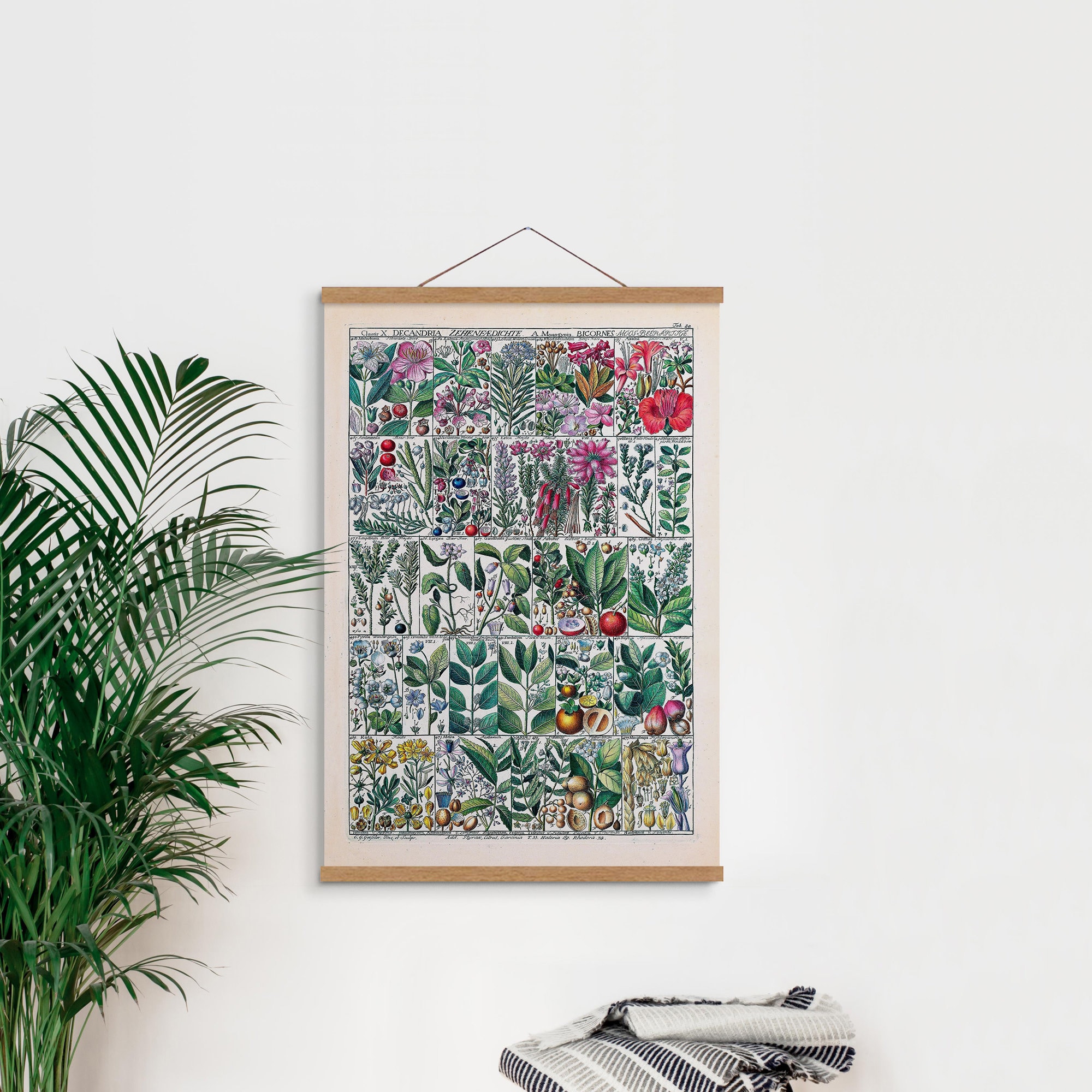 Flower Vintage Chart Poster Botanical Print Retro Botanical | Etsy