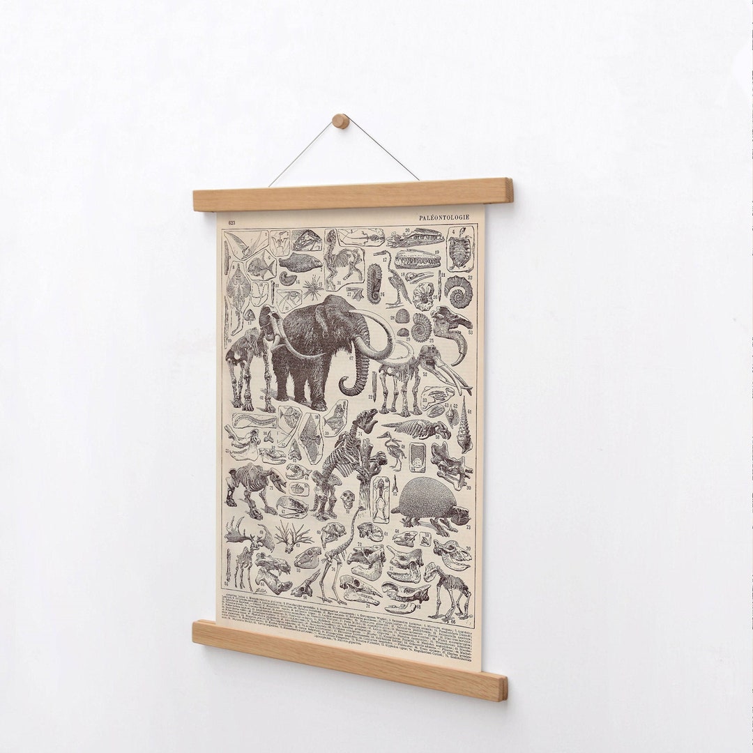 Mammoth Prehistoric Animal Poster, Dinosaur Skeleton, Primitive Animals ...
