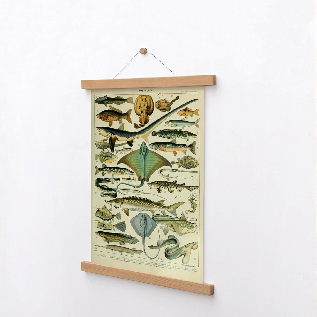 Vintage Fisch Poster, Strand Wand Dekor, Ozean Print, Poissons ...