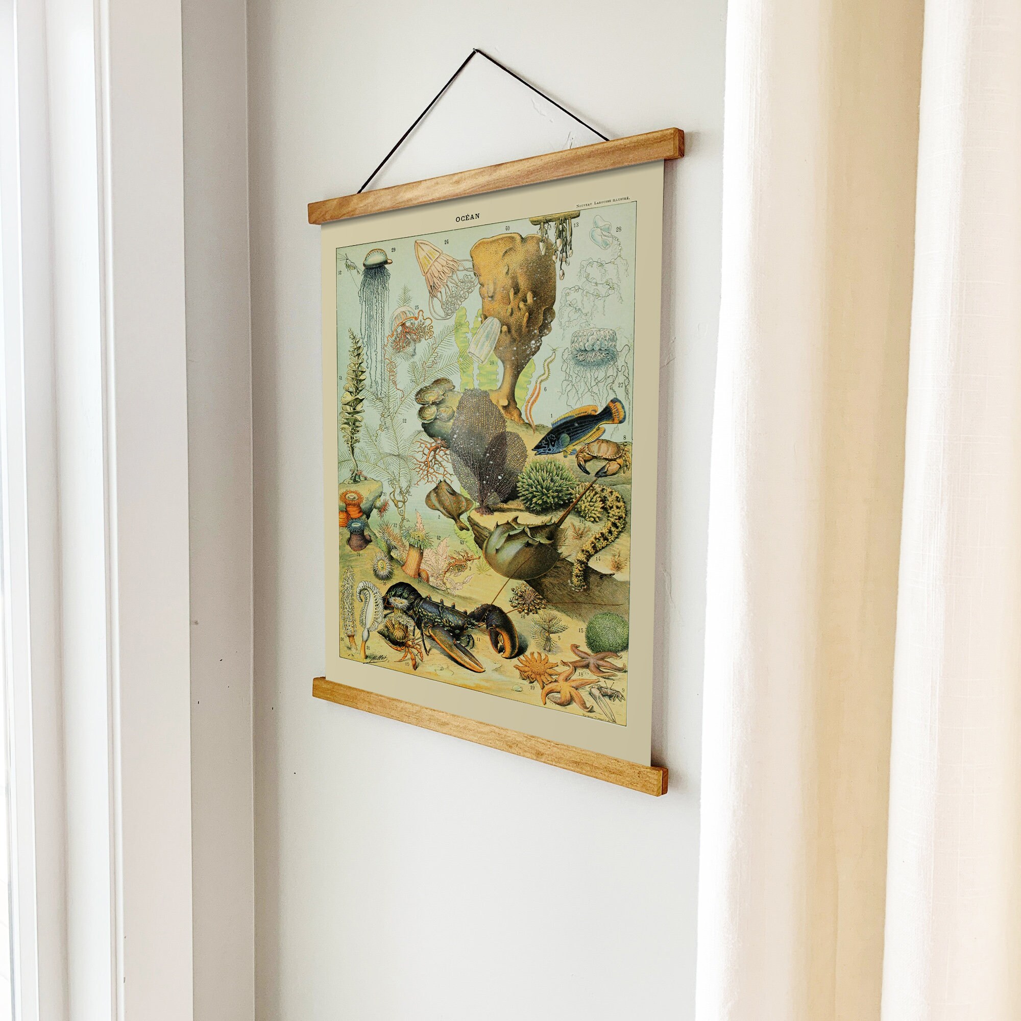 Adolphe Millot Crustacean Poster. Vintage Lobster Illustration - Etsy