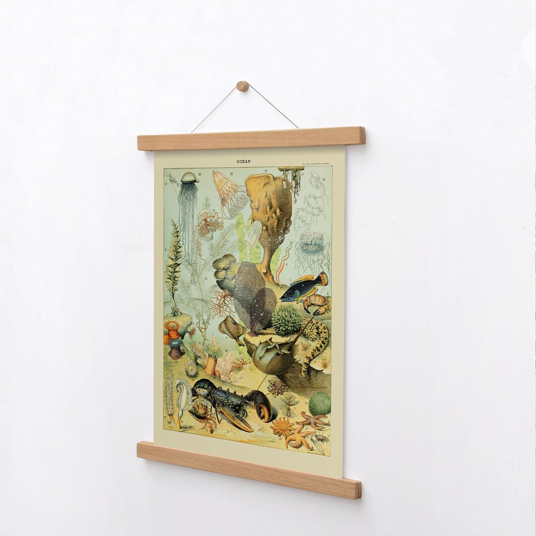 Adolphe Millot Crustacean Poster. Vintage Lobster Illustration Wall ...