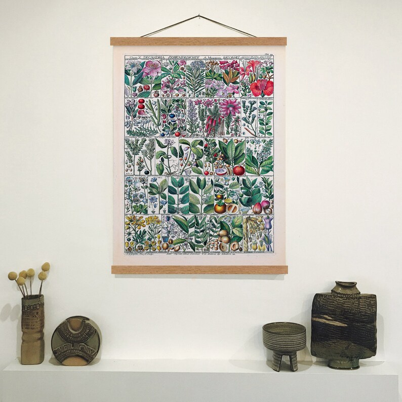 Flower Vintage Chart Poster Botanical Print Retro Botanical | Etsy