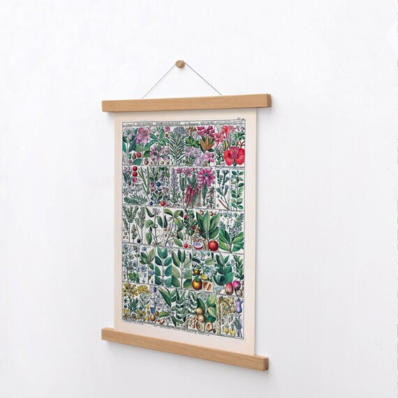 Flower Vintage Chart Poster Botanical Print Retro Botanical | Etsy