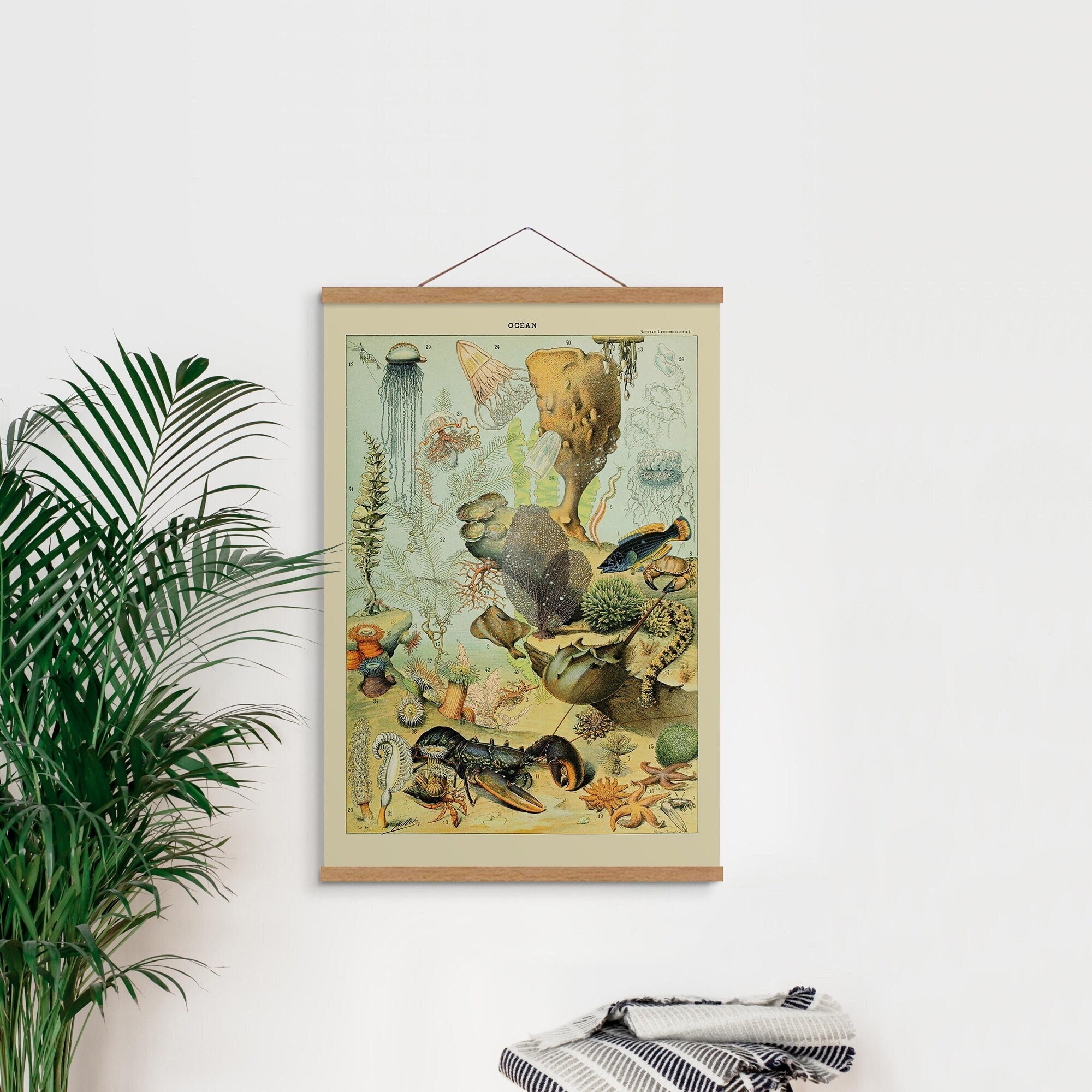 Adolphe Millot Crustacean Poster. Vintage Lobster illustration | Etsy