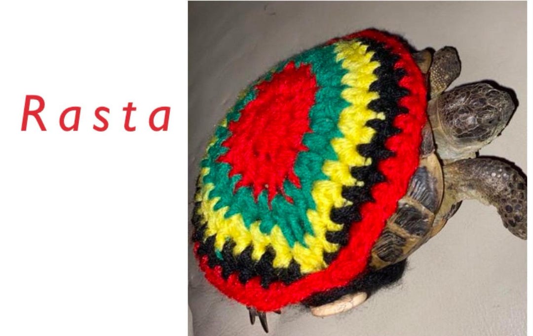 Tortoise/turtle Sweater, Pet Jacket, Pet Costume, Pet Sweater, Cozy ...