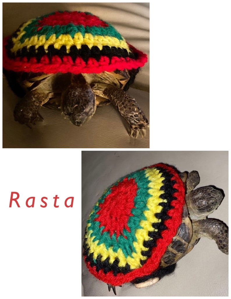 Tortoise/turtle Sweater Pet Jacket Pet Costume Pet Sweater - Etsy