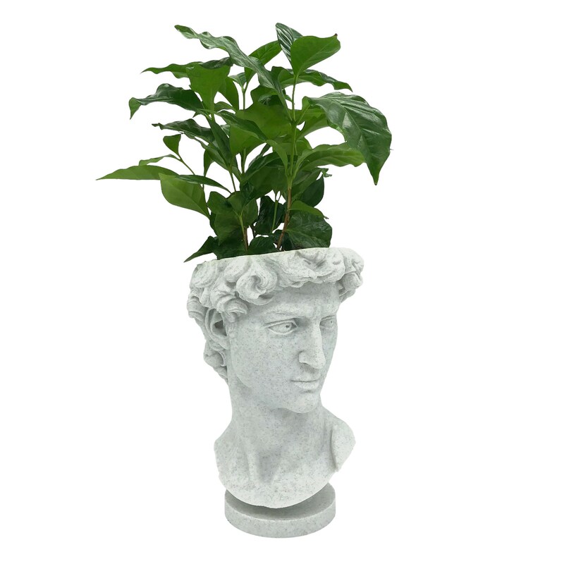 Bust Planter - Etsy