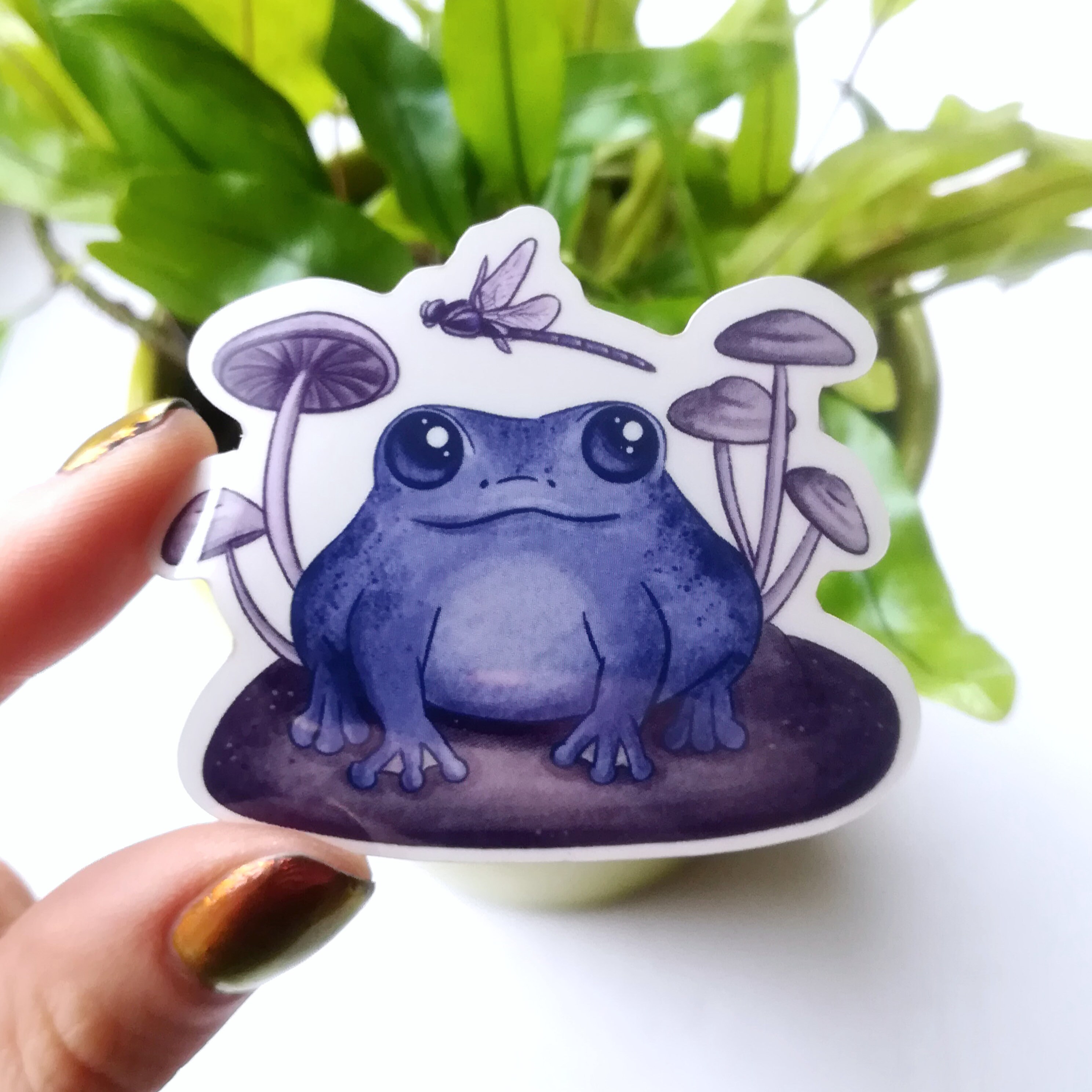 HAPPY FROG Vinyl Sticker Transparent Glossy Waterproof - Etsy