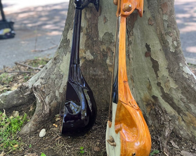 Dotara, Carved Wood Instrument, 4 String Guitar, Bangladeshi Musical ...